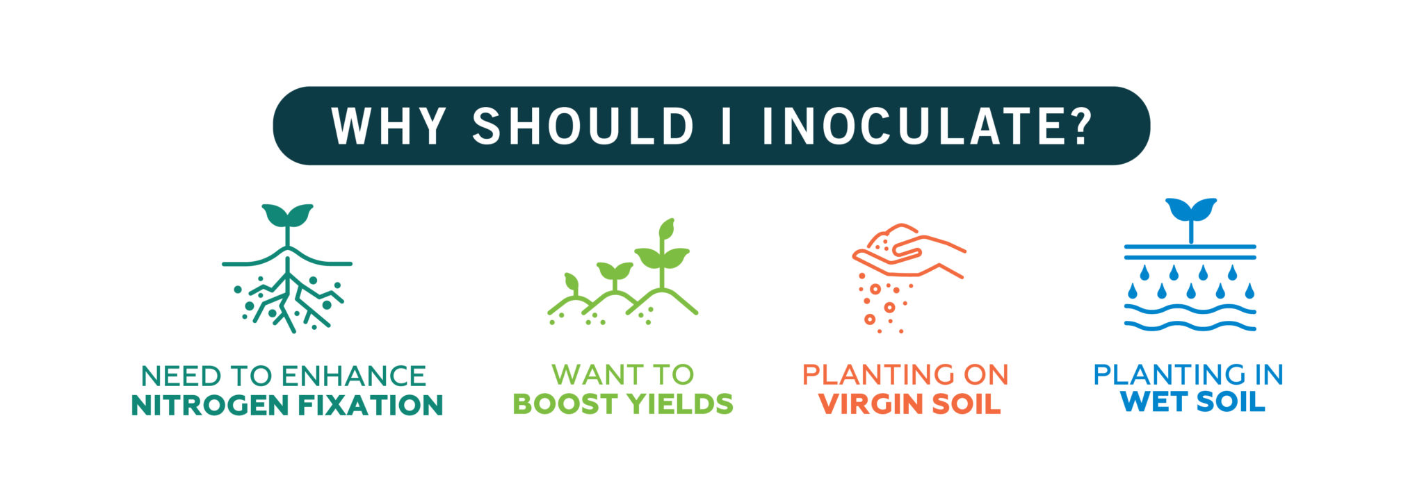 The Importance of N-Fixation and Inoculation - PhycoTerra®