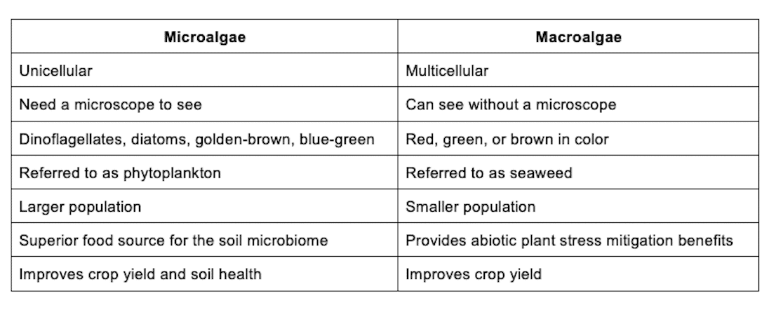 Unique Benefits of Macroalgae & Microalgae in Agriculture