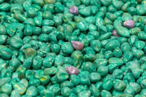 Seed Treatments 101: Support and Protect Your Seeds this Spring