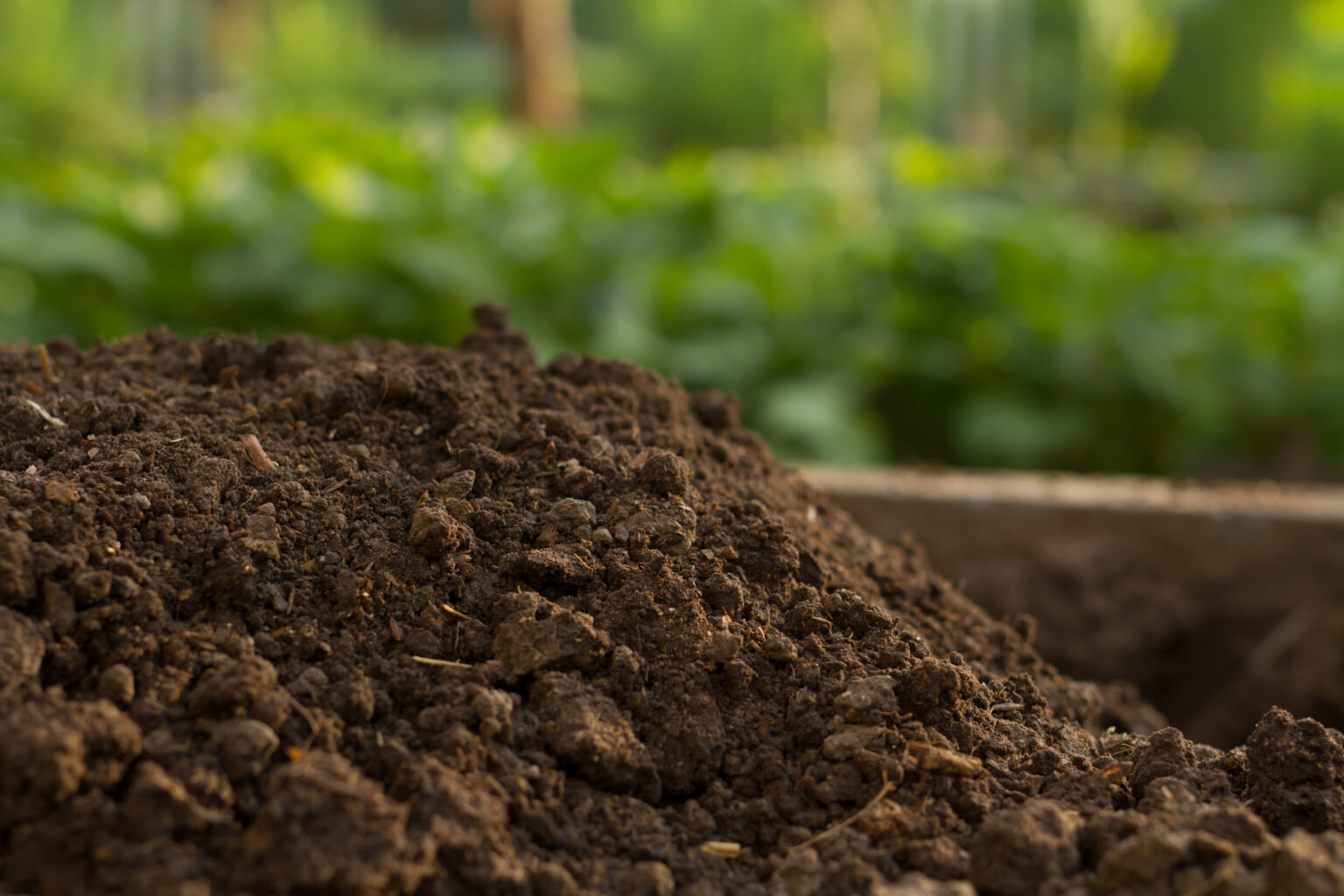 Why are your soil microbes dormant? | Phycoterra