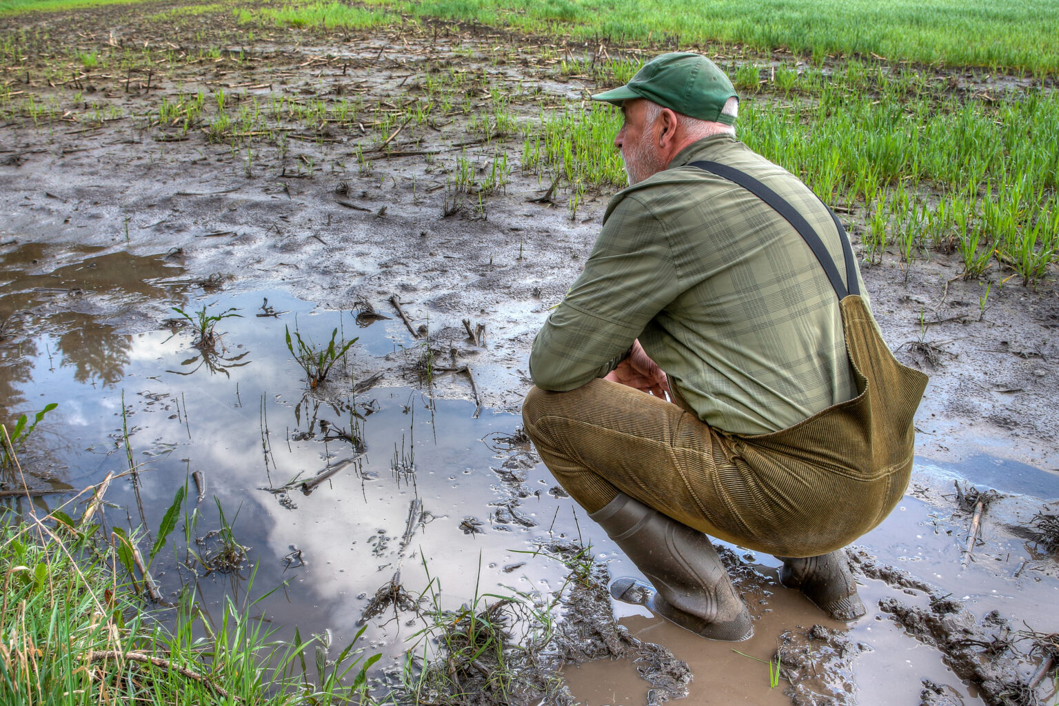 Why are your soil microbes dormant? | Phycoterra
