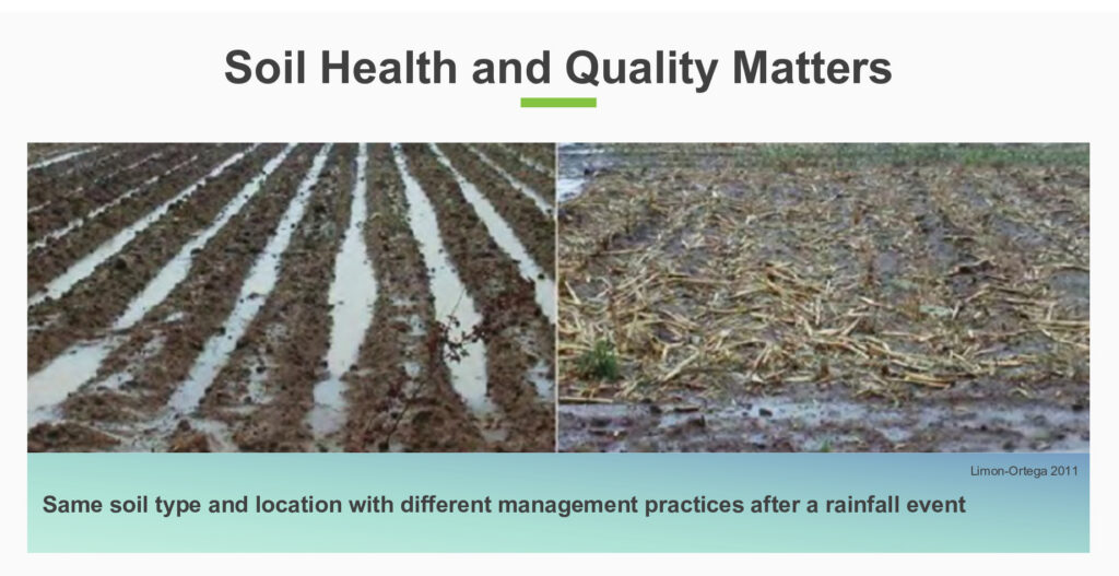 How Soil Health Impacts Your Farm’s Water | Phycoterra