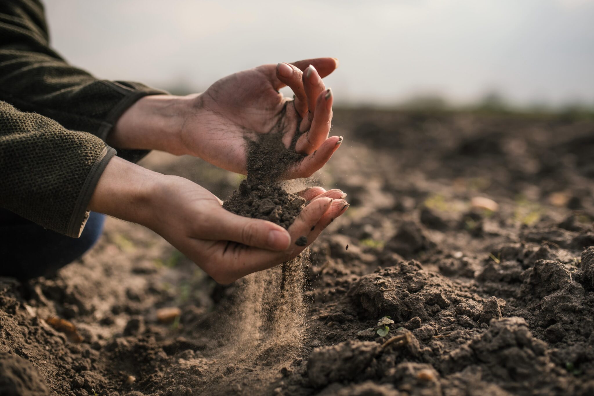 Cheap and Easy Soil Tests - PhycoTerra®
